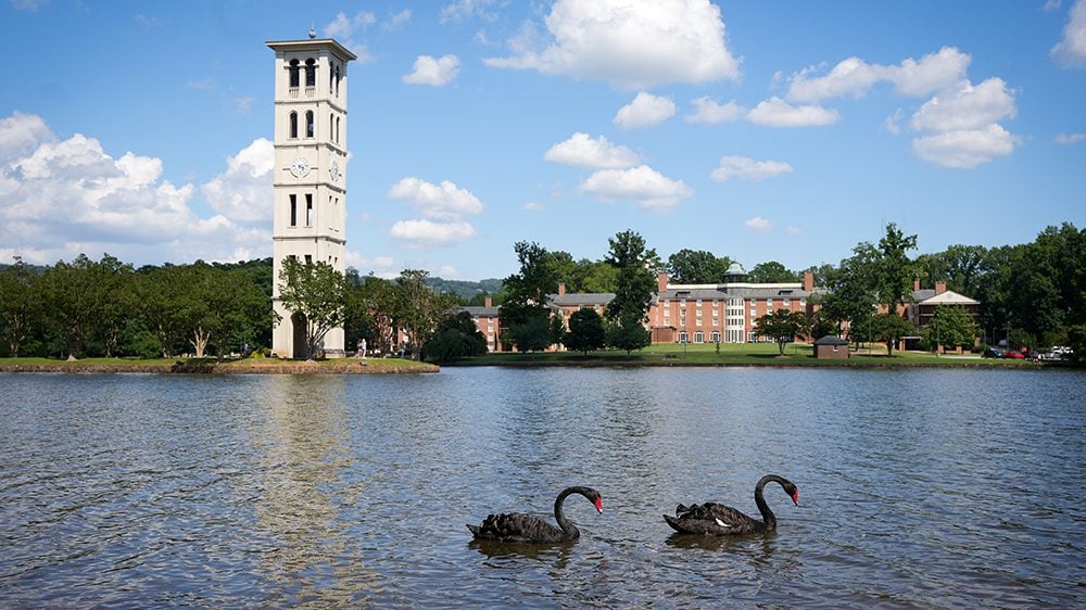 Furman