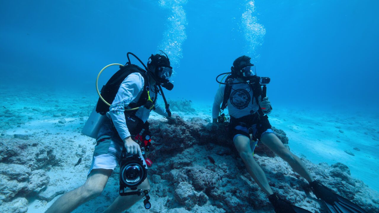 Furman grad searches for ‘All the Sharks’ on Netflix show - News